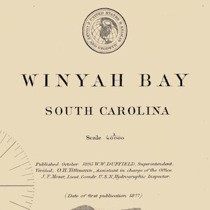 1877 Nautical Chart of Winyah Bay South Carolina Georgetown - Etsy