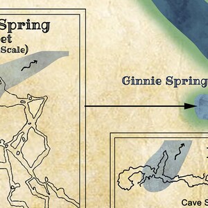 Ginnie Springs Section Map of the Santa Fe River Florida - Etsy