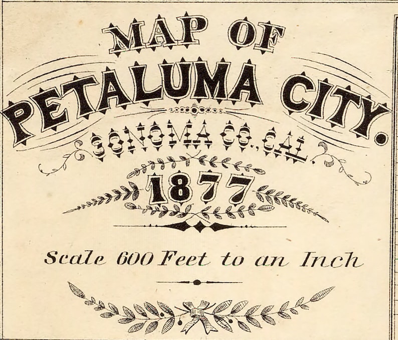 1877 Map of Petaluma City Sonoma County California - Etsy