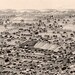 1885 Panoramic Map of Paris Lamar County Texas - Etsy