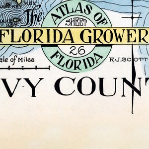 1914 Map of Levy County Florida - Etsy