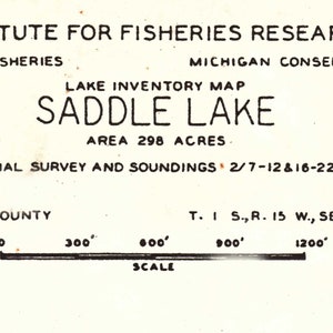 1946 Map of Saddle Lake Van Buren County Michigan - Etsy