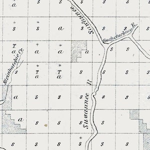 1850 Map of Middle Florida - Etsy