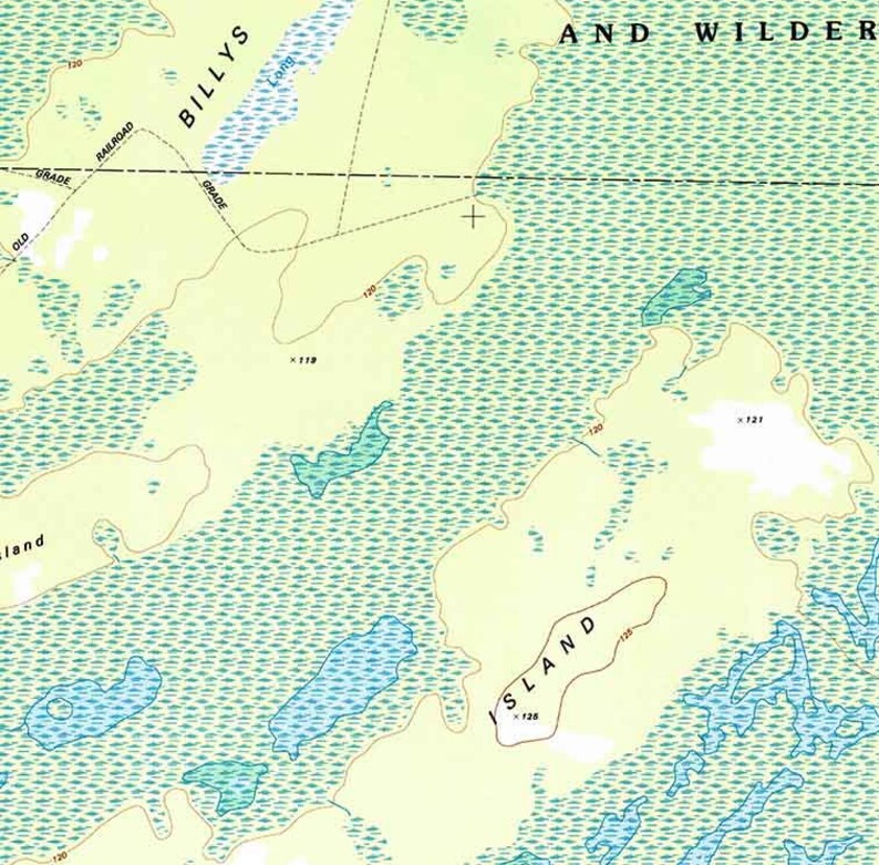 1994 Topo Map of Billys Island Georgia Quadrangle Okefenokee Swamp - Etsy