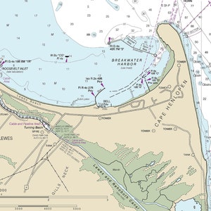 2022 Nautical Chart of Cape Henlopen to Indian River Inlet - Etsy