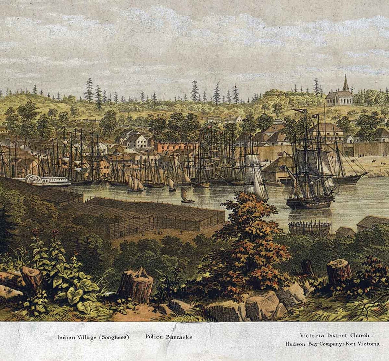 1860 Panoramic Map of Victoria Vancouver Island Canada - Etsy