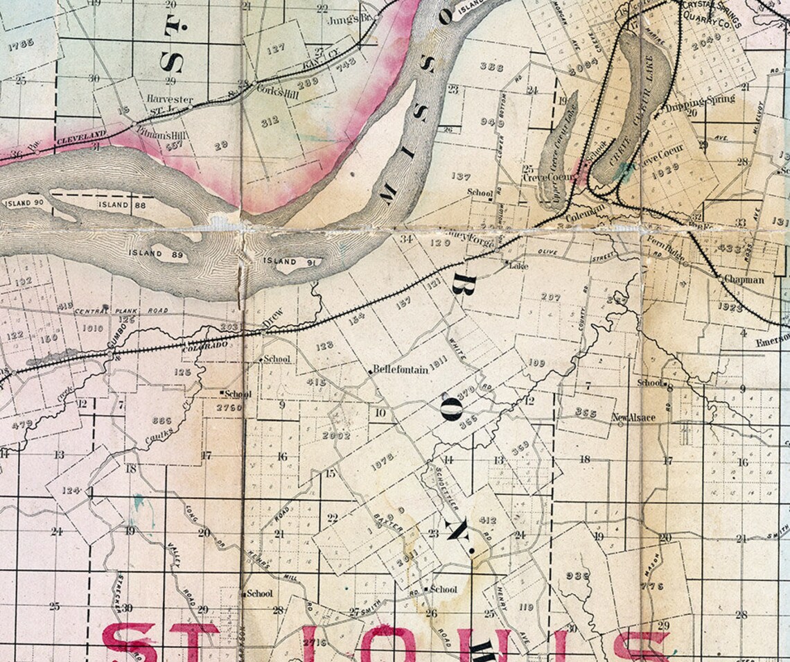 1891 Map of Saint Louis Missouri and Vicinity | Etsy