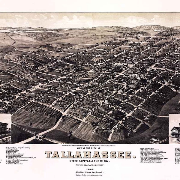 Panoramic Map of Florida - Etsy