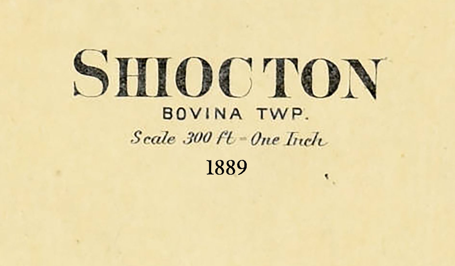 1889 Town Map of Shiocton Outagamie County Wisconsin - Etsy