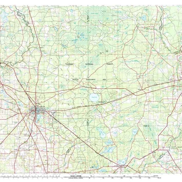 Lake Forest City Map - Etsy