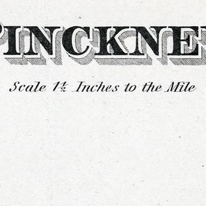 1875 Map of Pinckney Township Lewis County New York - Etsy