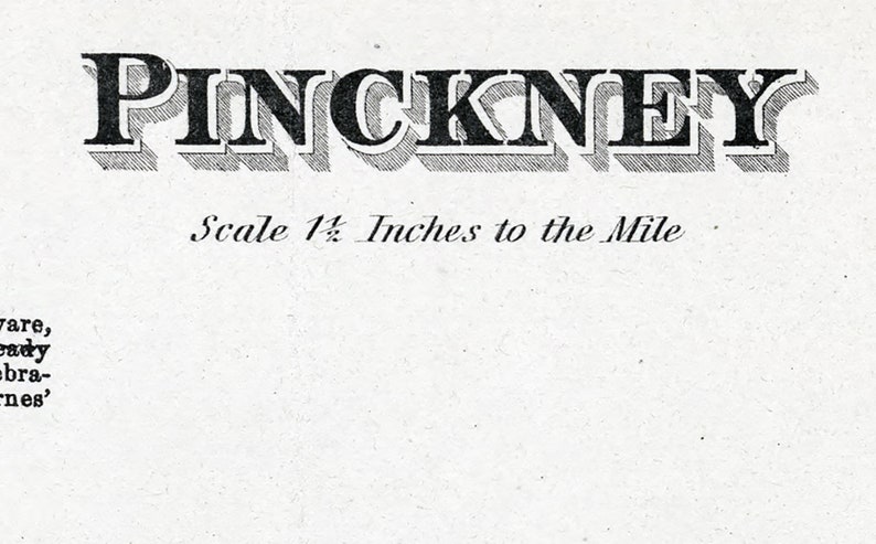 1875 Map of Pinckney Township Lewis County New York - Etsy
