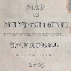 1869 Map of Mcintosh County Georgia - Etsy