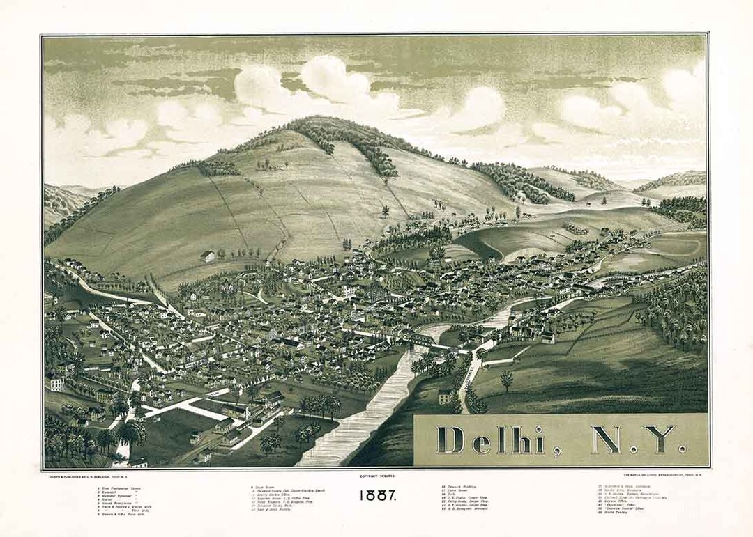 1887 Panoramic Map of Delhi New York - Etsy