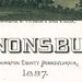 1897 Aerial Map of Canonsburg Washington County PA - Etsy
