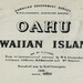 1881 Map of Oahu Hawaiian Islands - Etsy