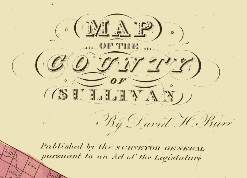 1829 Map of Sullivan County New York - Etsy