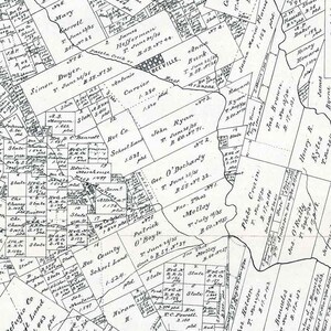 1879 Farm Line Map of Bee County Texas - Etsy