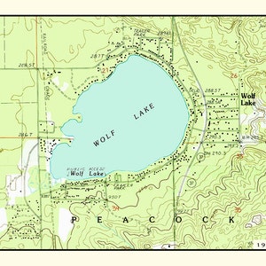 1987 Map of Wolf Lake Lake County Michigan - Etsy