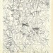 1931 Topo Map of Baird Texas Callahan County - Etsy