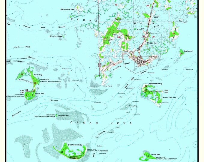 Cedar Key Florida Map With Streets, Water, Hills, Buildings. Color and ...
