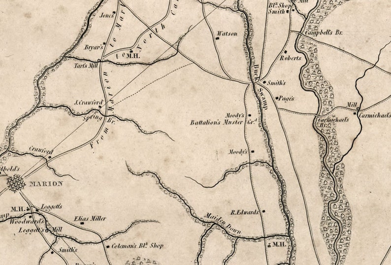 1825 Map of Marion County South Carolina Genealogy History - Etsy