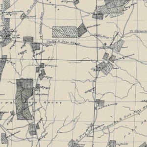 1865 Map of Dallas County Arkansas - Etsy