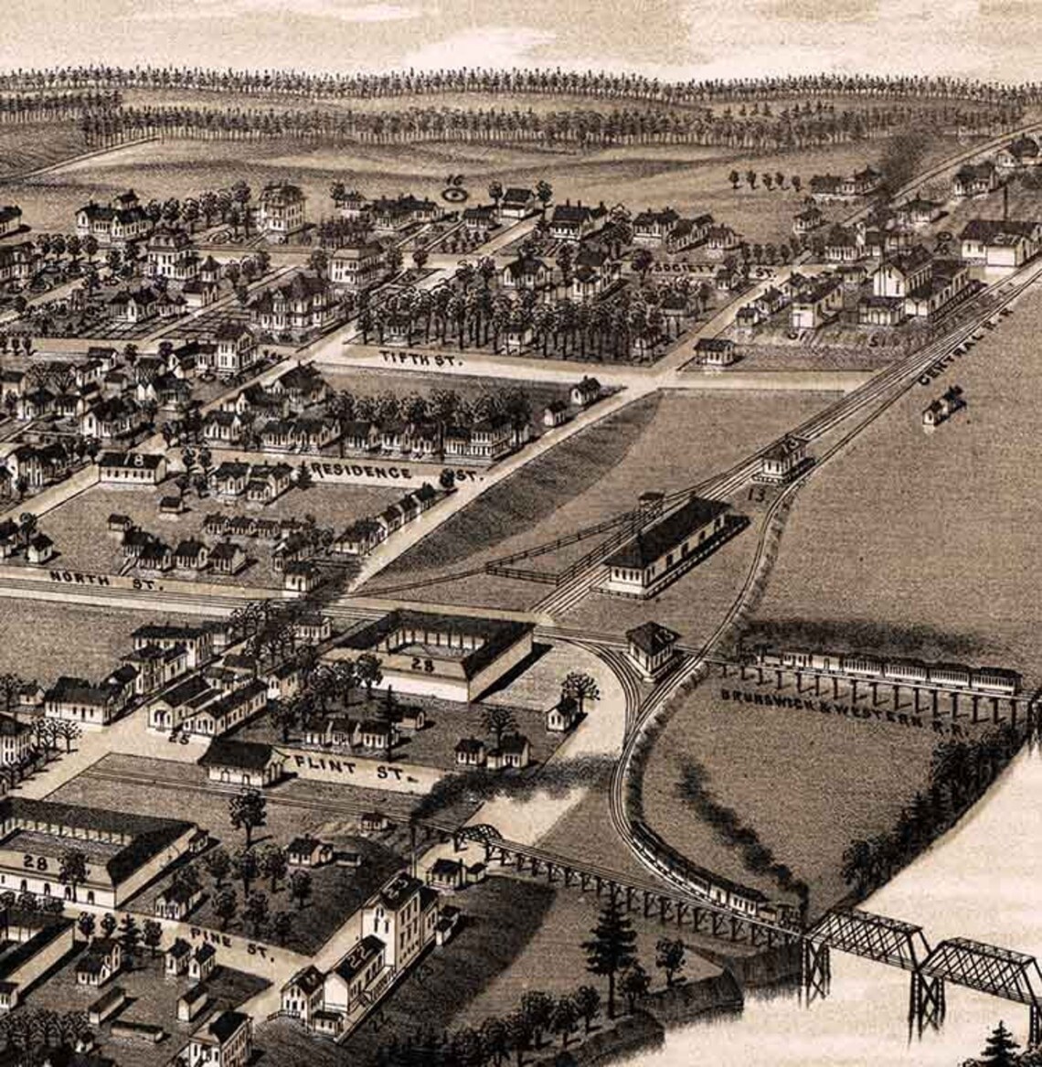 1885 Panoramic Map of Albany Georgia Dougherty County - Etsy