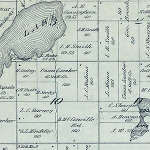 1900 Map of Rose Lake Township Osceola County Michigan - Etsy