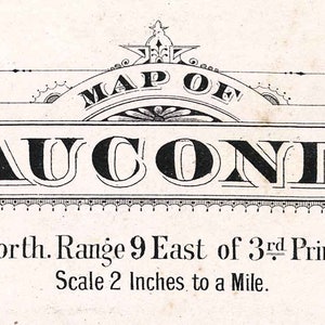 1885 Map of Wauconda Township Lake County Illinois - Etsy
