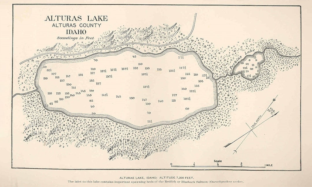 1897 Map of Alturas Lake Alturas County Idaho - Etsy
