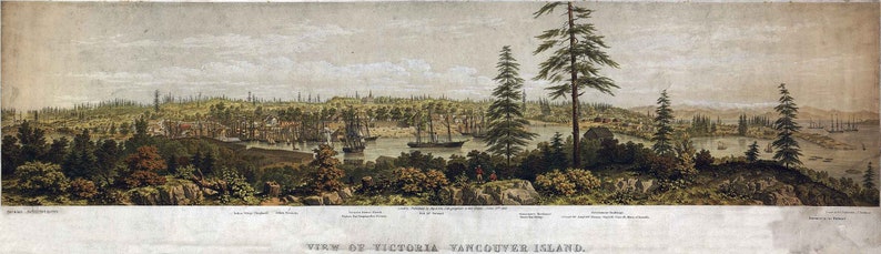 1860 Panoramic Map of Victoria British Columbia Canada | Etsy