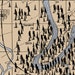 1920 Map of the Red River Bull Bayou Oil Field Louisiana - Etsy