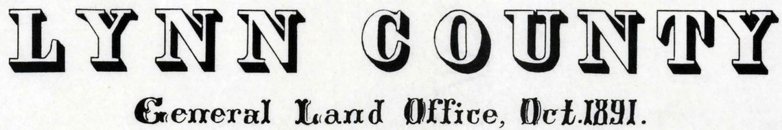 1891 Farm Line Map of Lynn County Texas | Etsy