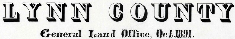 1891 Farm Line Map of Lynn County Texas - Etsy