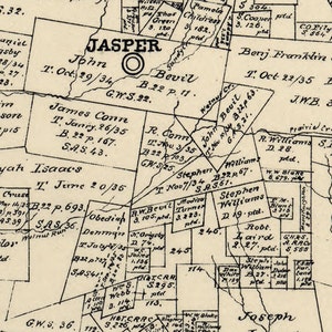 1879 Map of Jasper County Texas - Etsy