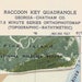1979 Map of Raccoon Key Georgia Quadrangle - Etsy