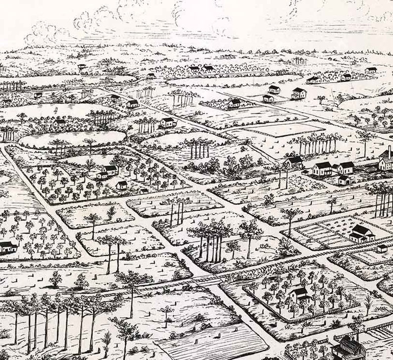 1885 Panoramic Map of Longwood Orange County Florida - Etsy