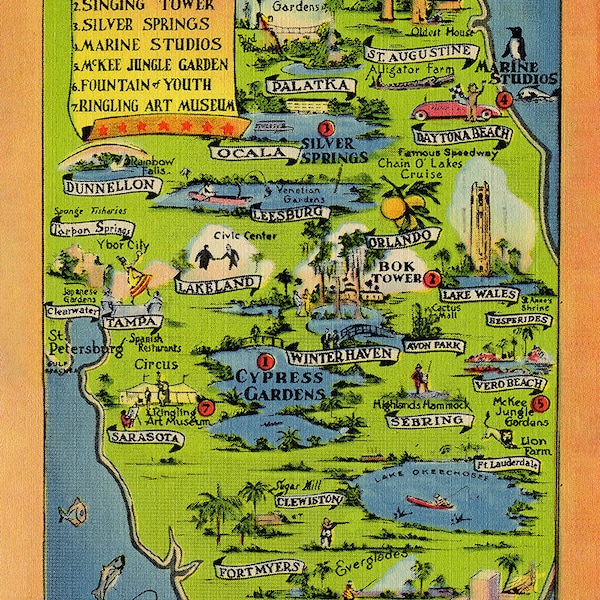 Cartoon Map of Florida Svg - Etsy Australia