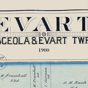 1900 Town Map of Evart Osceola County Michigan - Etsy