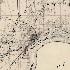 1875 Map of Muscatine County Iowa - Etsy