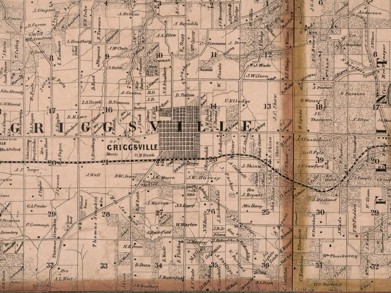 1860 Map of Pike County Illinois Pittsfield | Etsy