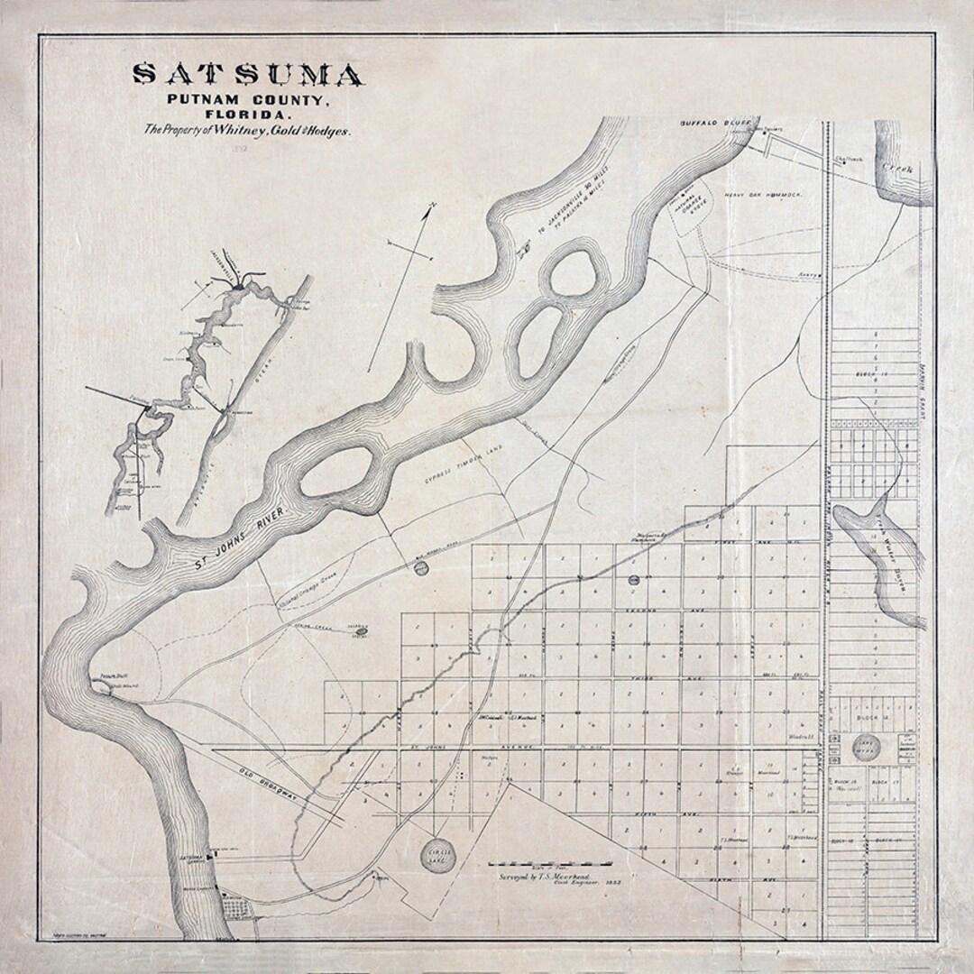 1882 Map of Satsuma Putnam County Florida Saint Johns River - Etsy