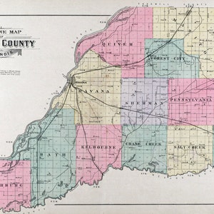 1891 Map of Mason County Illinois Havana - Etsy