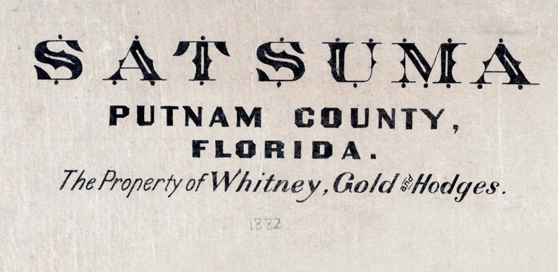 1882 Map of Satsuma Putnam County Florida Saint Johns River - Etsy