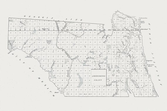 1850 Map of Middle Florida | Etsy