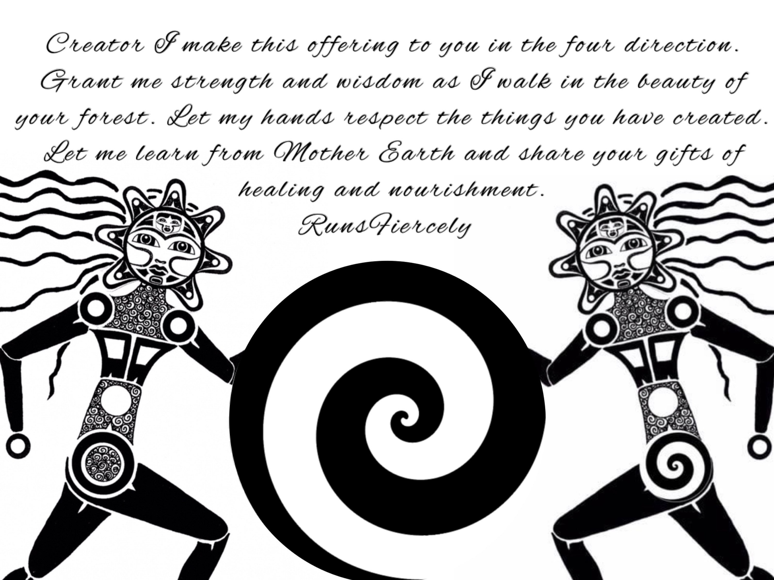 PNW Foraging Flashcards - Etsy