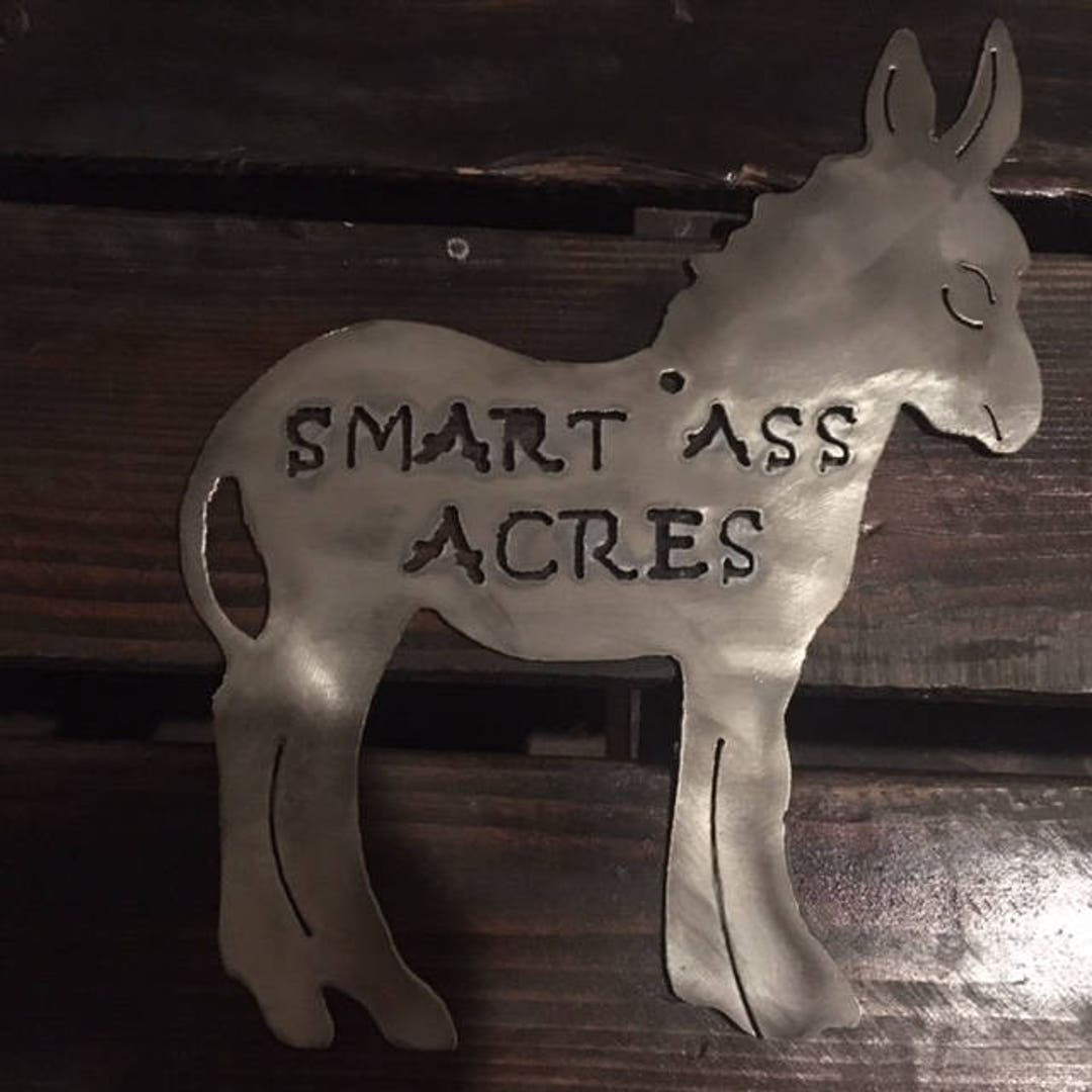 Large Donkey Steel Metal Rustic Recycled Sign Plaque - Etsy