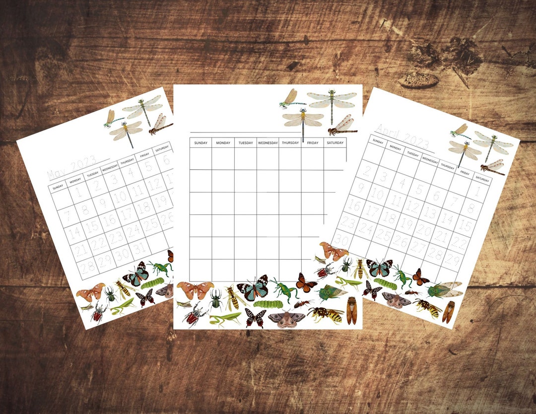 Bugs Calendar Insects Calendar Insects Calendar Vertical Calendar Kids ...