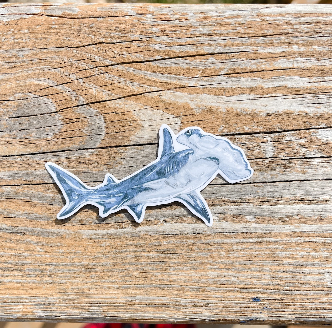 Hammerhead Sticker Shark Sticker Summer Sticker Ocean - Etsy